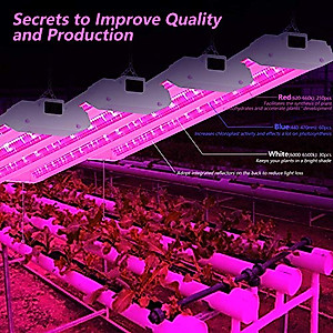 ANTLUX 4ft LED Grow Lights 50W Full Spectrum Integrated Growing Lamp Fixtures for Greenhouse Hydroponic Indoor Plant Seedling Veg and Flower, Plug in, ON/Off Pull Chain Included