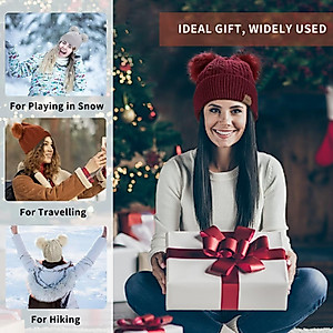 Beanies Women with Double Pom Pom, Winter Hats for Women Cold Weather Warm Cable Knit Fleece Lined, Cute Beanie Cap for Daily Use(Oatmeal)