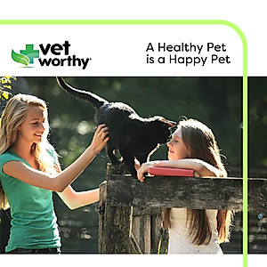 Vet Worthy Joint Paw Gel for Cats - 3oz - Glucosamine Chondroitin Joint Support Supplement -with MSM, Vitamin C, Yucca Schidigera, Sea Kelp - Salmon Flavor Cat Paw Gel - Daily Use
