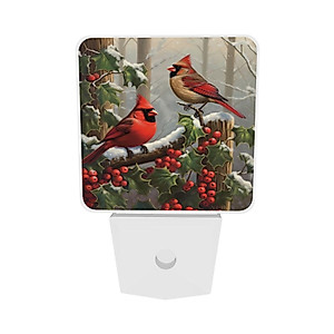 Christmas Red Birds Night Light Set of 2, Winter Snow Auto Sensor LED Dusk-to-Dawn Nightlights, Plug-in Sensor Lamp for Bedroom Bathroom Kitchen Hallway Stairs Decorative