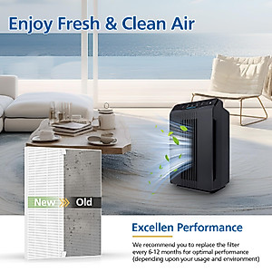 116130 Replacement Filter H Compatible with Winix 5500-2 Air Purifier and AM80 Air Purifier, H13 True HEPA Filter, 3 Pack