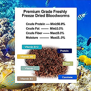 Blood Worms 1 oz -100% Natural Freeze Dried Blood Worms - Aquarium Fish Food - High Protein Food for Betta Fish, Food for Goldfish, Food for Cichlid, Food for Guppy, Food for Discus, Food for Turtle