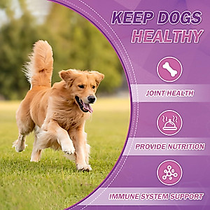 Omega 3 Fish Oil for Dogs Dog Skin and Coat Supplement Omega 3 for Dogs Shiny Coats Dog Skin Allergy Relief for Dogs Itching Reduce Shedding EPA & DHA Fatty Acids Salmon Oil Supplement 200 Ct