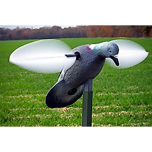 MOJO Outdoors Pigeon Decoy, Small 51-55cm,Multi,One Size,HW2410