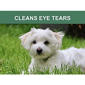 Mr. Peanut's Naturals 100% Plant Based, Unscented Pet Wipes, 160 Count, Larger 8x6" Size