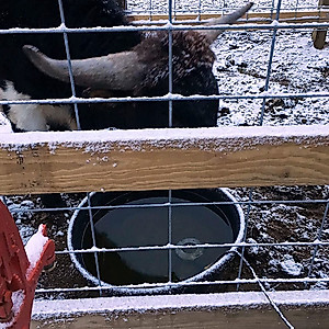 Farm Innovators C-250 Submergible Cast Aluminum Utility 250 Watts Multi-use De-Icer for Livestock Containers up to 25 gallons