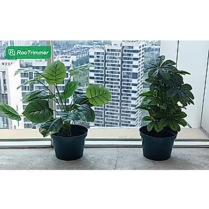 DAPERCI RooTrimmer 8 inches Nursery Pot Plant Grow Sturdy Flower pots in Bulk Price 20P