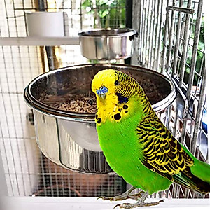 Hamiledyi Parrot Feeding Cup,Bird Food Dish Stainless Steel Bird Cage Feeding Bowls with clamp Holder-for Parrot Macaw African Gray Parakeet Canary Cockatie Conure(3 Pcs)