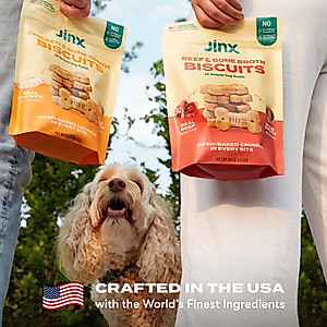 Jinx Oven-Baked Beef Bone Broth Biscuit Treats, Crunchy, All Natural, Superfood-Rich with Real Beef, Pumpkin & Blueberries, 16oz, 4 Pack