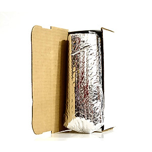 Nules Clementine Starter Plant. Citrus Clementina. 3" - 5"