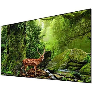 Hisense 120L5F 4K UHD HDR Ultra-Short Throw LASER TV Projector with LTS120AFA 120" ALR Display Screen Bundle with 2 Years CPS Enhanced Protection Pack