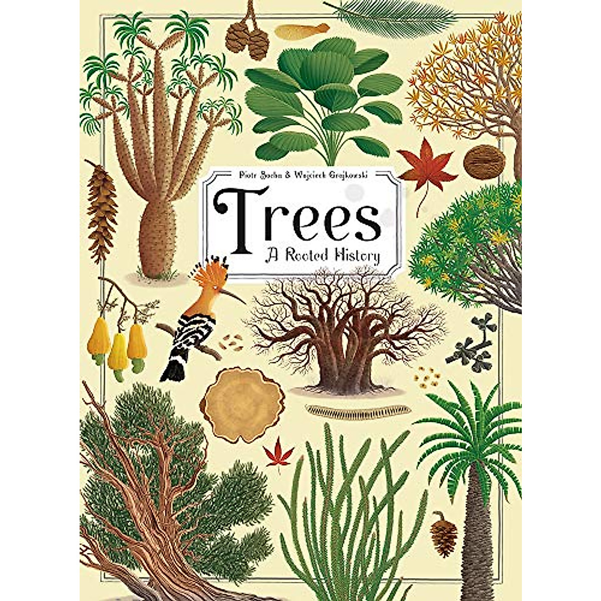 Trees: A Rooted History