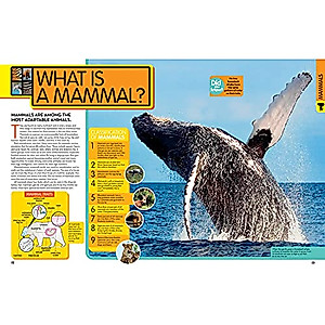 National Geographic Kids Animal Encyclopedia, 2nd Edition: 2,500 Animals with Photos, Maps, and More!