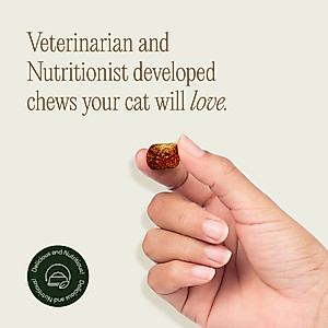 pawTree Joint & Hip Support Supplement for Cats with Glucosamine, Chondroitin, MSM, Tumeric & Green Lipped Mussels - Vitamins, Supplements & Health Essentials - All-Natural Mobility Soft Chews (Cats)