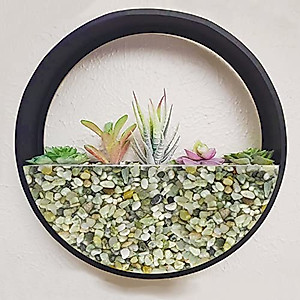 GASPRO 5 Pound Pebbles for Indoor Plants, 3/8 Inch Decorative Rocks for Bamboo, Vase, Succulents, Highly Polished and Smooth Surface, Jade