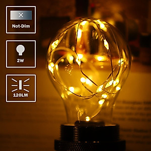HOWORR Decorative Light Bulb, 2W LED Fairy Light Bulbs, 15W Equivalent Cute Light Bulbs for Pendant Light Fixtures, Bedroom, Living Room, Christmas, Wedding, Warm White, E26 Base