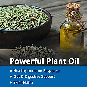 Zand Oregano Oil, 1-Ounce