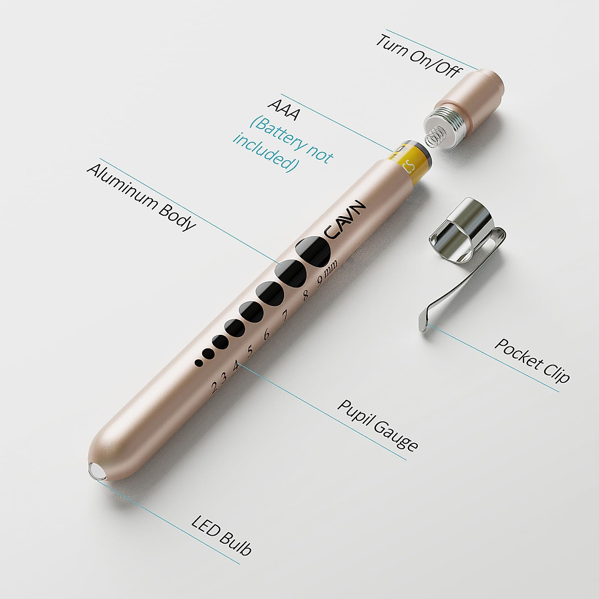 CAVN Pen Light with Pupil Gauge LED Penlight for Nurses Doctors, 2 Pcs Reusable Medical Penlight for Nursing Students (Rose Gold/White)