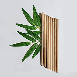 EcoAmiga Bamboo Straw, 8 Inch Reusable & Biodegradable Organic Bulk Straws – Great Ecological Alternative to Plastic Straws (Bamboo)