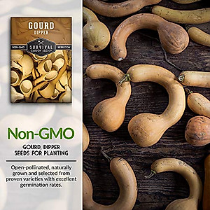 Survival Garden Seeds - Dipper Gourd Seed for Planting - Packet with Instructions to Plant and Grow Birdhouse Gourds in Your Home Vegetable Garden - Non-GMO Heirloom Variety