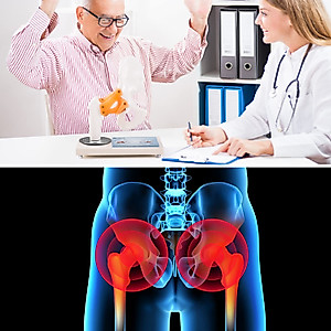 Human Hip Joint Model, Flexible 1:1 Anatomical Model Life Size with Ligaments 360° Rotatable Wooden Display Base, Anatomy Diagram for Classroom Education & Medical Training