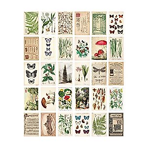 Vintage Collection Postcard Set: Pack of 30 Retro Style Botanical, Nature and Ephemera Postcards by Wintertime Crafts