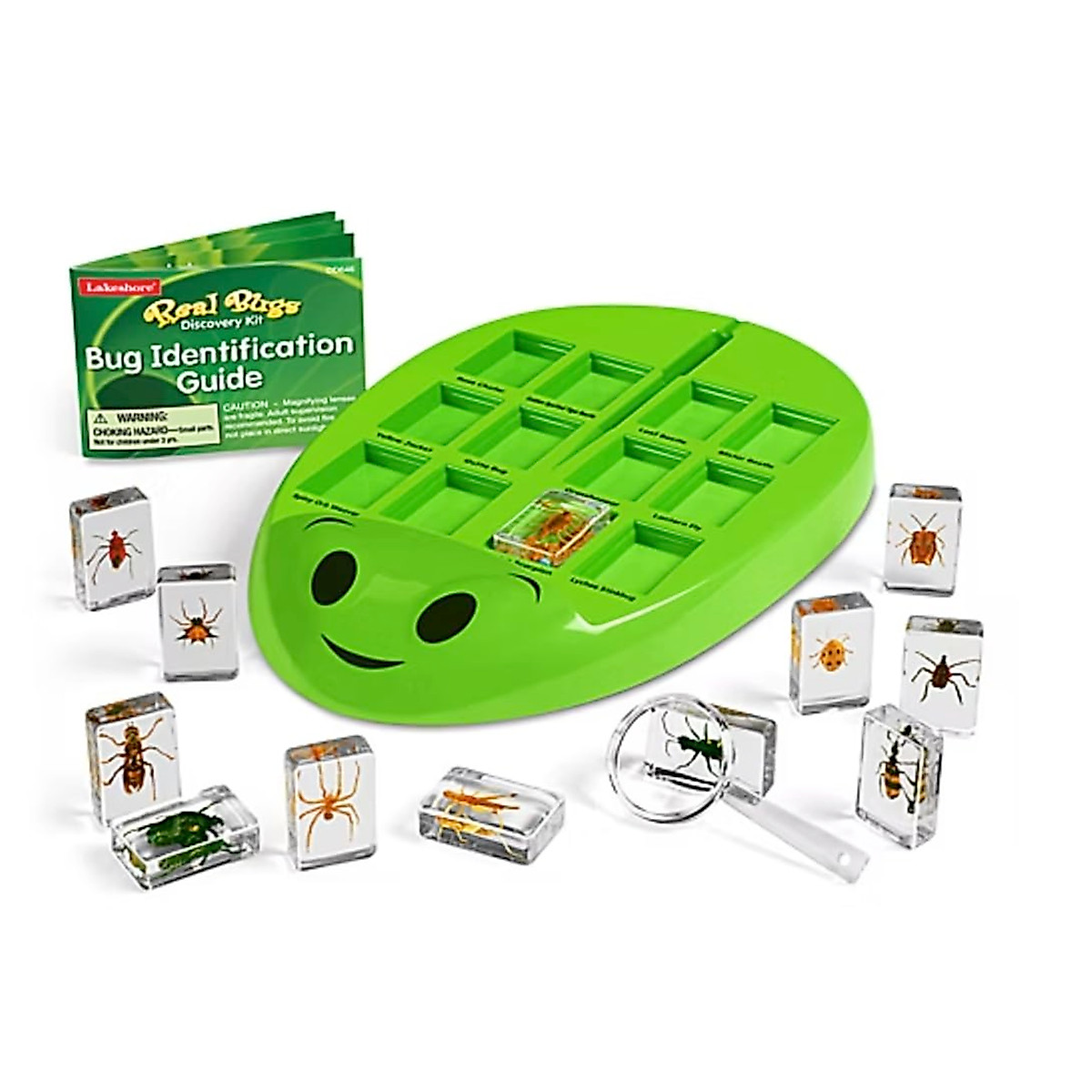Lakeshore Real Bugs Discovery Kit