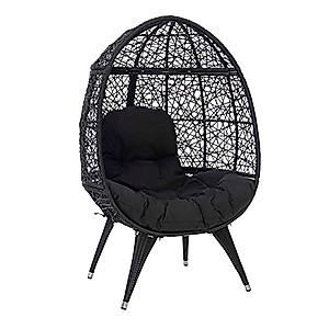 Linon Cloyd Metal Indoor Outdoor Round Chair in Black
