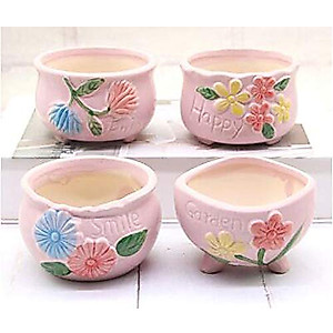 Maya Star 4 PCS Ceramic Succulent Plant Pot/Cactus Plant Pot Flower Pot/Container,Farmhouse Style Planter Bonsai Pots with A Hole A04