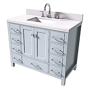 ARIEL Bathroom Vanity 43" Inch in Grey with Pure White Quartz Countertop, Rectangular Sink, 2 Soft Closing Doors and 9 Full Extension Dovetail Drawers, No Mirror