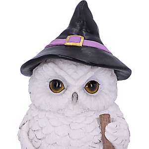 Nemesis Now Snowy Magic Witch Owl Familiar Figurine, 18cm, White