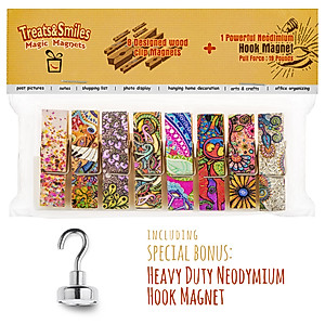 8 Colorful Fridge Magnets Clips + Strong Magnetic Hook - Display Photos & Memos On a Refrigerator, Locker, Whiteboard in a Cute & Fun Way. Perfect to use in Any Kitchen, Office, Classroom or Cubicle.