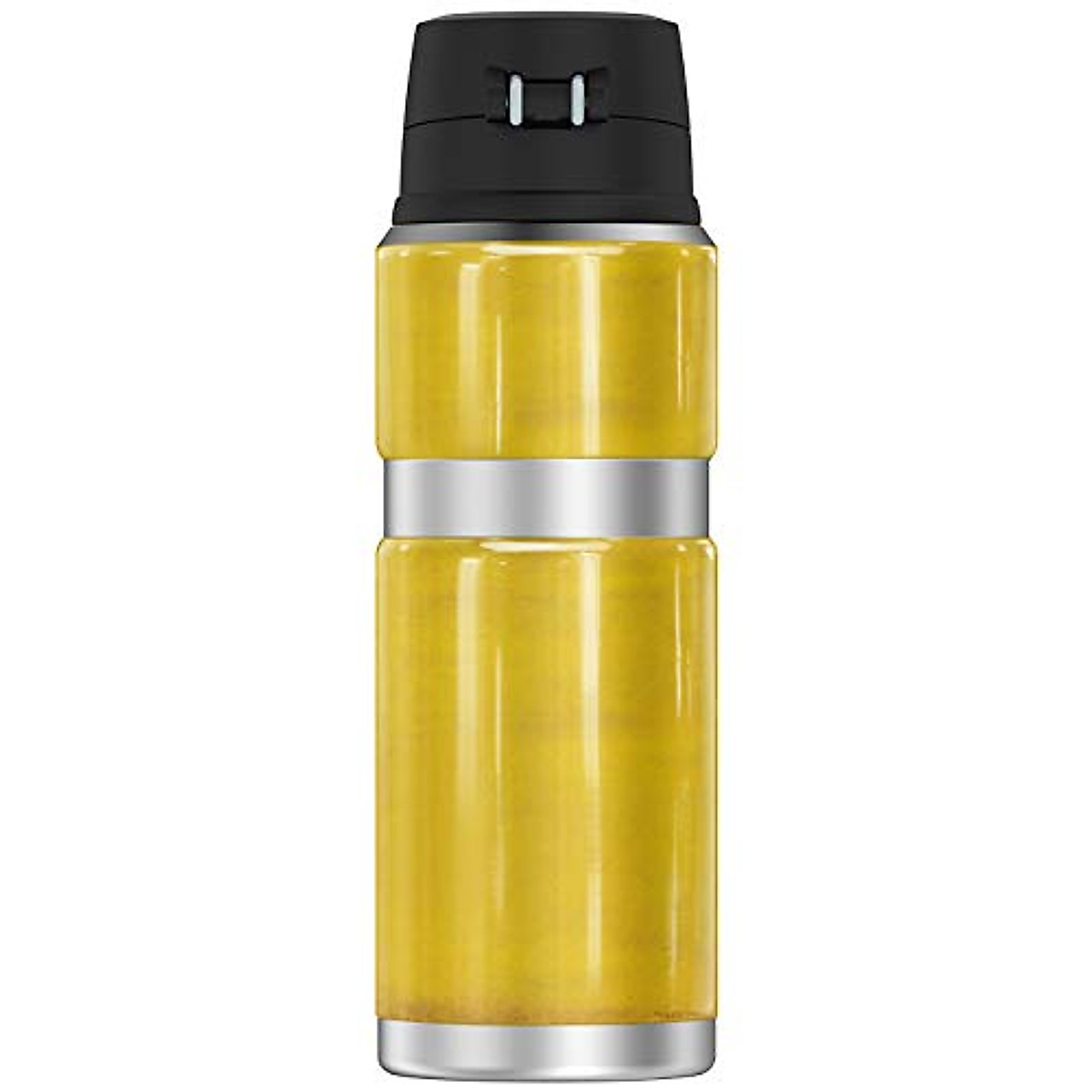 Flash Character, THERMOS STAINLESS KING Stainless Steel Drink Bottle, Vacuum insulated & Double Wall, 24oz