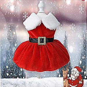 Dog Christmas Costume Puppy Dress, Santa Claus Pet Clothes Velvet Skirt Thermal Shirt Winter Coat Xmas Holiday Apparel Cute Girl Clothing Red Dresses, Dog Outfit for Small Medium Dogs Cats (M, Red)