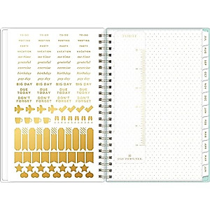 2023-2024 Blue Sky Day Designer Romance Mint 5-inch x 8-inch Academic Weekly & Monthly Planner, Multicolor (142526)