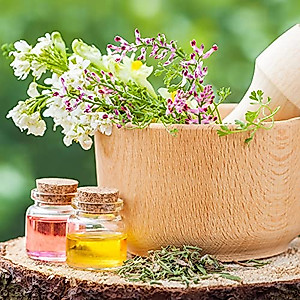 48 Pcs Small Glass Bottles with Cork, 50 ml Vials Jars Mini Potion Bottles Empty Spell Jars Sand Art Bottles Decorative Bottles for DIY Sand Water Pill Party Supplies