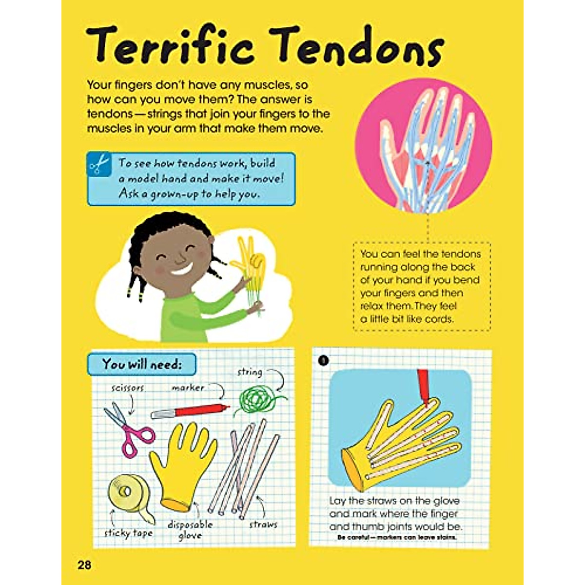 The Human Body: Anatomy Facts and Activity Book for Kids Ages 5-9 with Experiments, Diagrams, Mazes, Coloring, Dot-to-Dots, and More! (Gold Stars Series)