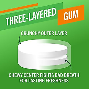TheraBreath Fresh Breath Chewing Gum with ZINC, Citrus Mint Flavor, 10 Count (Pack of 6)