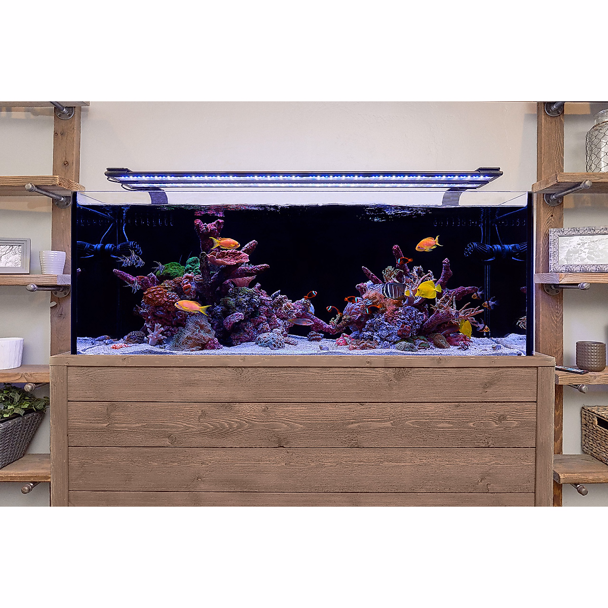 Current USA 36-48" Inch Orbit Marine LED Saltwater Reef Marine Aquarium Light | 24 Hour IR Lighting & eFlux Wave Pump Control | Adjustable Color Spectrum for Fish Tank (4102)