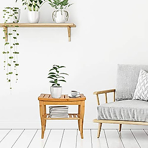 Hossejoy Bamboo Shower Bench Seat Wood Spa Bath Luxury Organizer Stool Shower Chair with Storage Shelf, Perfect for Indoor or Outdoor (19''x10.2''x17.7'')