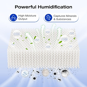 Fil-fresh 4-Pack HDC12 Replacement Wicking Humidifier Filter, Super Wick Compatible with AIRCARE Essick Air EA1407, HD1305, HD1405, HD1406, HD1407, HD1409, Kenmore 15420, 29614, High Moisture Output