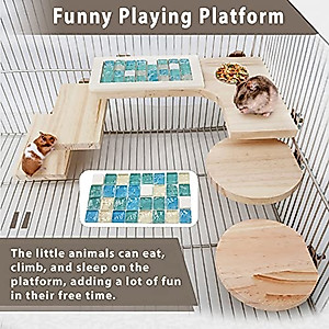 kathson 7 Pcs Dwarf Hamster Wooden Platform Natural Guinea Pig Springboard Chinchilla Toys for Mice Squirrel and Small Animal