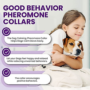 Royce Naturals 4 Pack Calming Collar for Dogs, Pheromone Breakaway Dog Collar, Separation Anxiety Relief for Dogs, Purple, (PETCOL01-3PP)