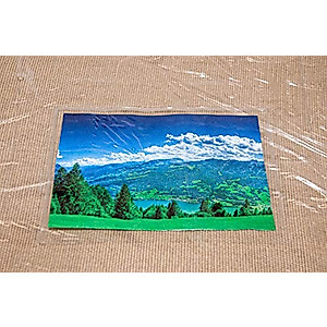 Clear Vinyl Zippered Storage Bags 12 x 15 x 4 Inch 10-Pack