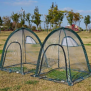 Pop Up Greenhouse Pack of 2 Mini Flower House Backard Garden Plant Cover for Cold Forst Protection PVC Sunshine Room with Stakes and Carrybag (28x28x32inch)
