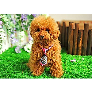 Lebbeen 10pcs/Pack,Cool Gentle Stylish Adjustable Pet Teddy Cat Dog Rabbit Bow Ties Necktie