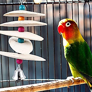 PATKAW Bird Cuttlebone Parakeet Cuttlebone Cuttlebone for Birds cuttlebone for Birds cuttlebone cuttlebone for Tortoise Parakeets Parrot Cuddle Parakeet Food Parakeet Cuttlebone