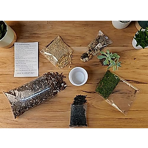 TerraGreen Creations Succulent Planter Kit with Soil, Gravel, Pebble, Moss, Horticulture Charcoal, Supplies For Fairy Gardens, or Cactus - Create Your Own Terrarium