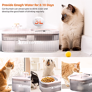 Easterville Water Fountain for Cats Inside, Ultra Quiet Cat Drinking Fountains with 3 Filters, Cat Fountain Water Bowl, Cat Feeding & Watering Supplies, Pet Water Dispenser & Stainless Steel Bowl
