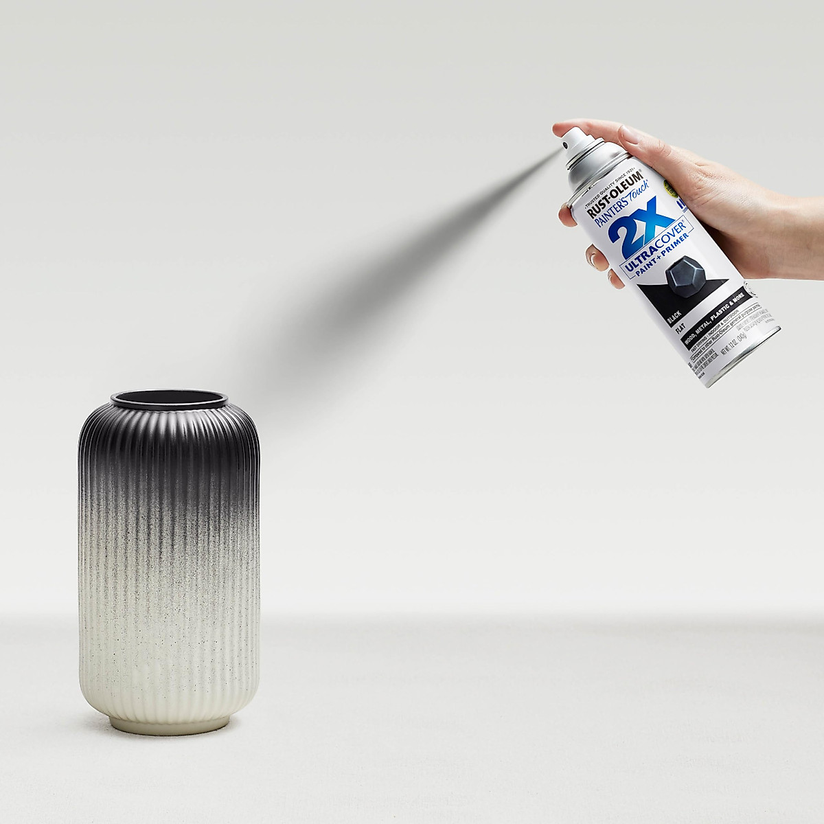 Rust-Oleum 249127 Painter's Touch 2X Ultra Cover, 12 Oz, Flat Black